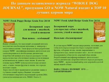 Корм Now (Нау) для собак | состав, цена, отзывы