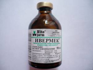 Ивермек для собак: инструкция и показания к применению, отзывы, цена