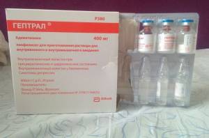 Гептрал для собак: показания и инструкция по применению, отзывы, цена