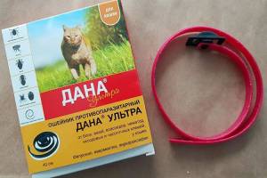Дана Ультра капли для кошек | отзывы, цена, инструкция, как пользоваться